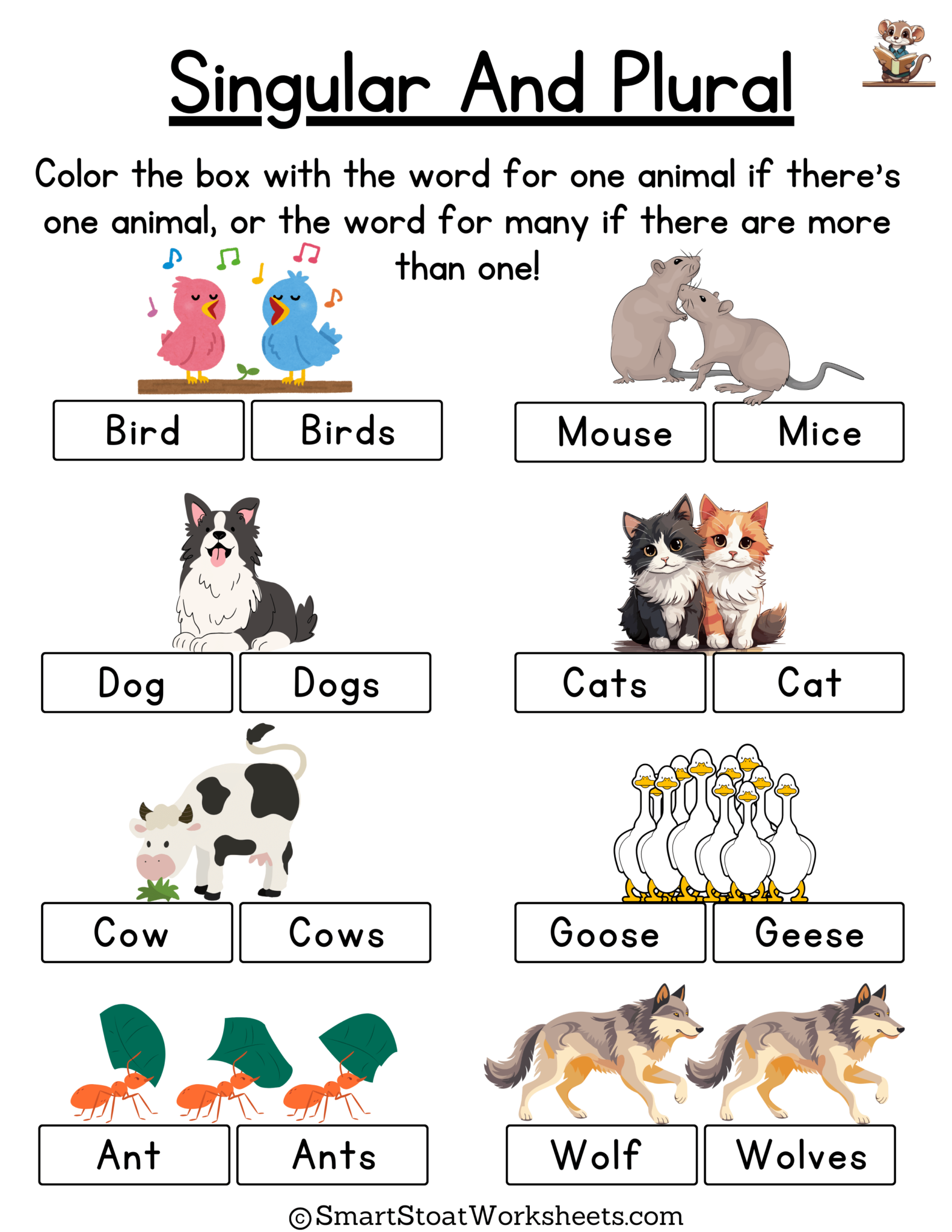 Singular and Plural Words Worksheets for Kindergarten