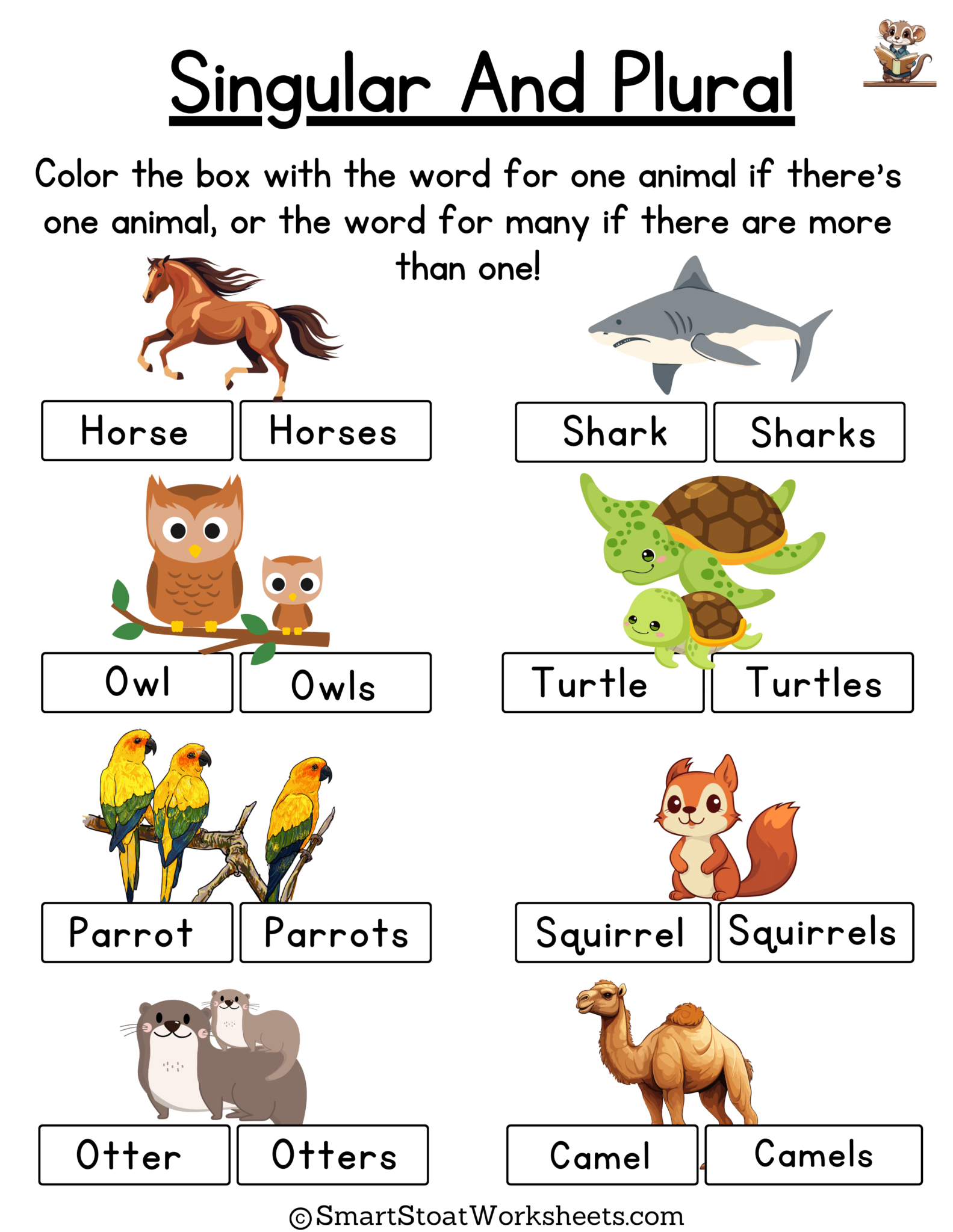 Singular and Plural Words Worksheets for Kindergarten