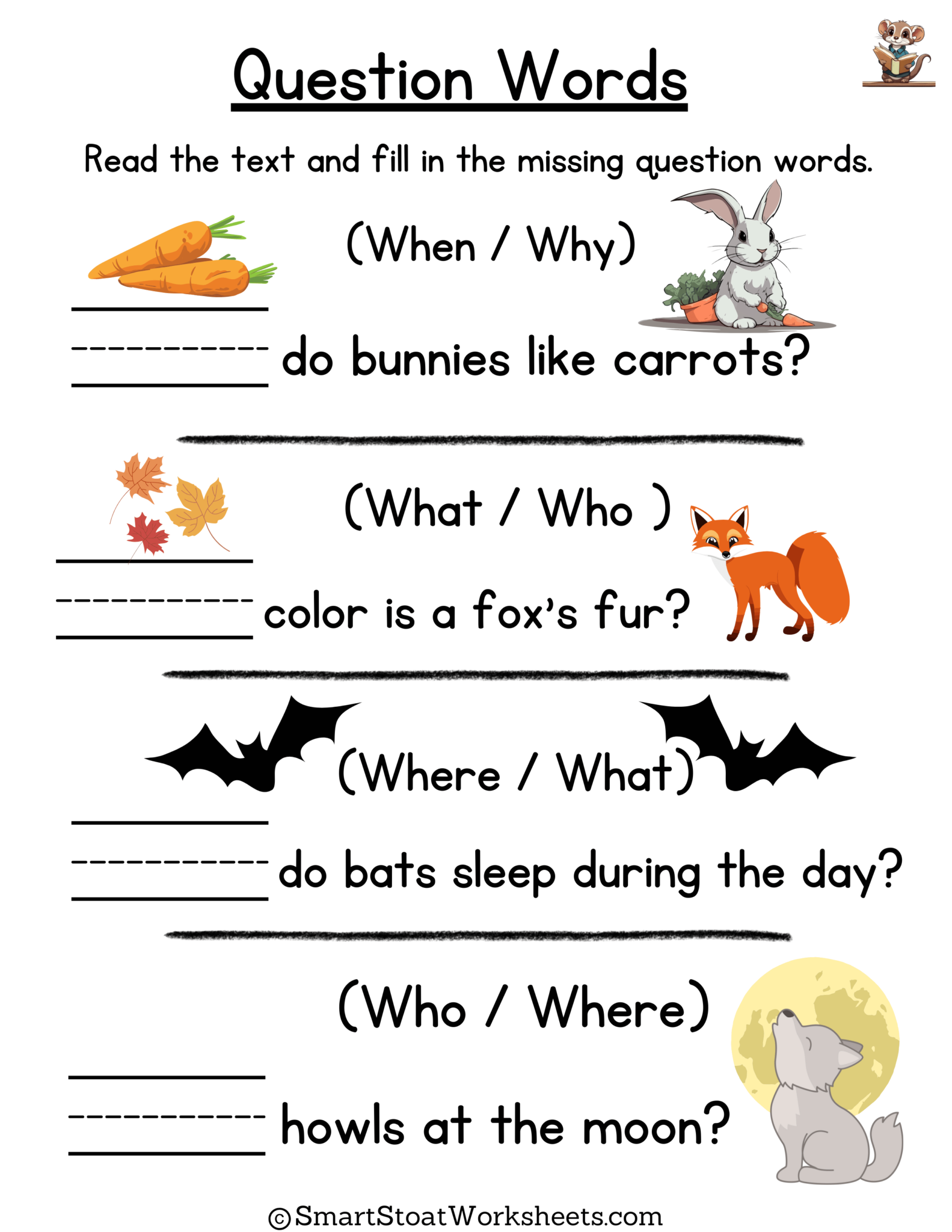 Wh Questions Worksheets - Who What When Where