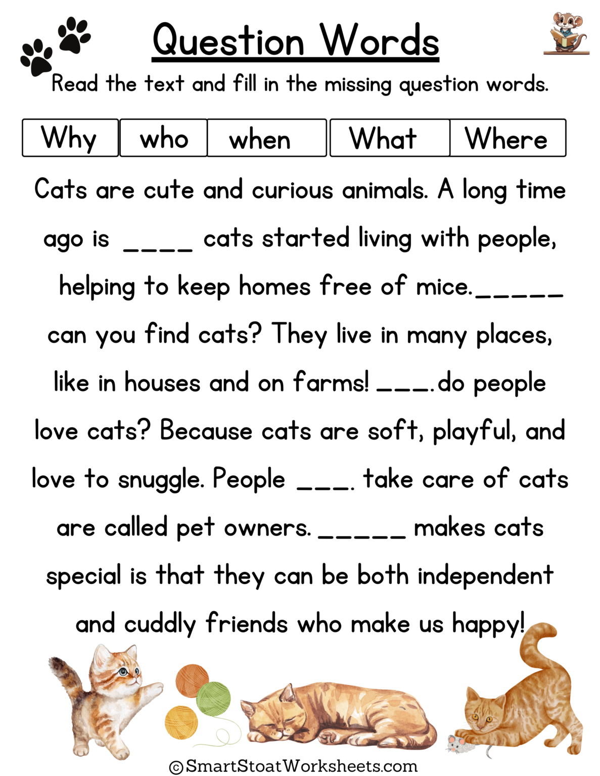 Wh Questions Worksheets - Who What When Where