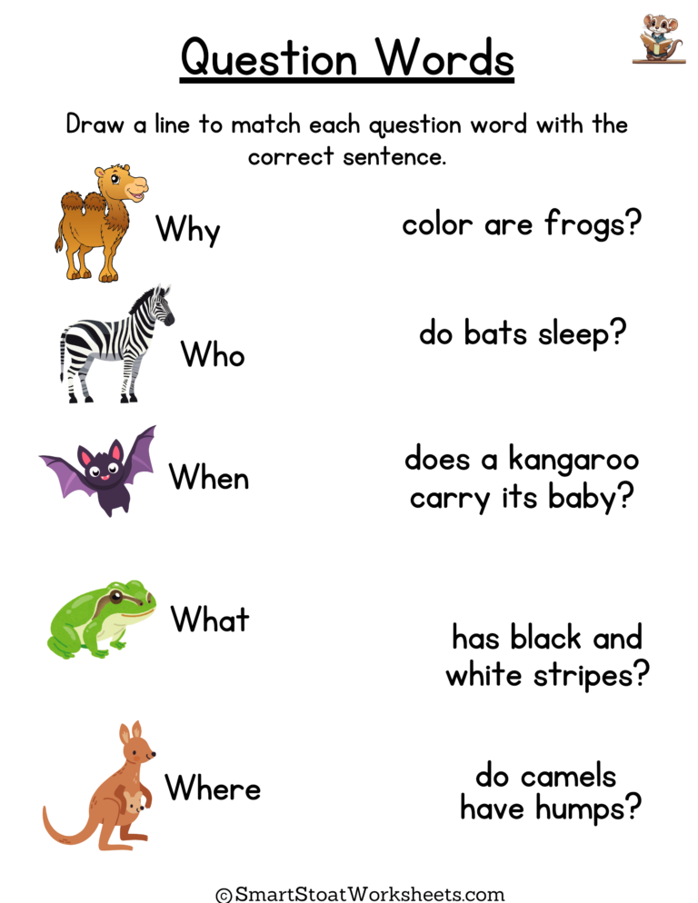 Wh Questions Worksheets - Who What When Where