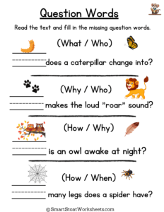 Wh Questions Worksheets - Who What When Where
