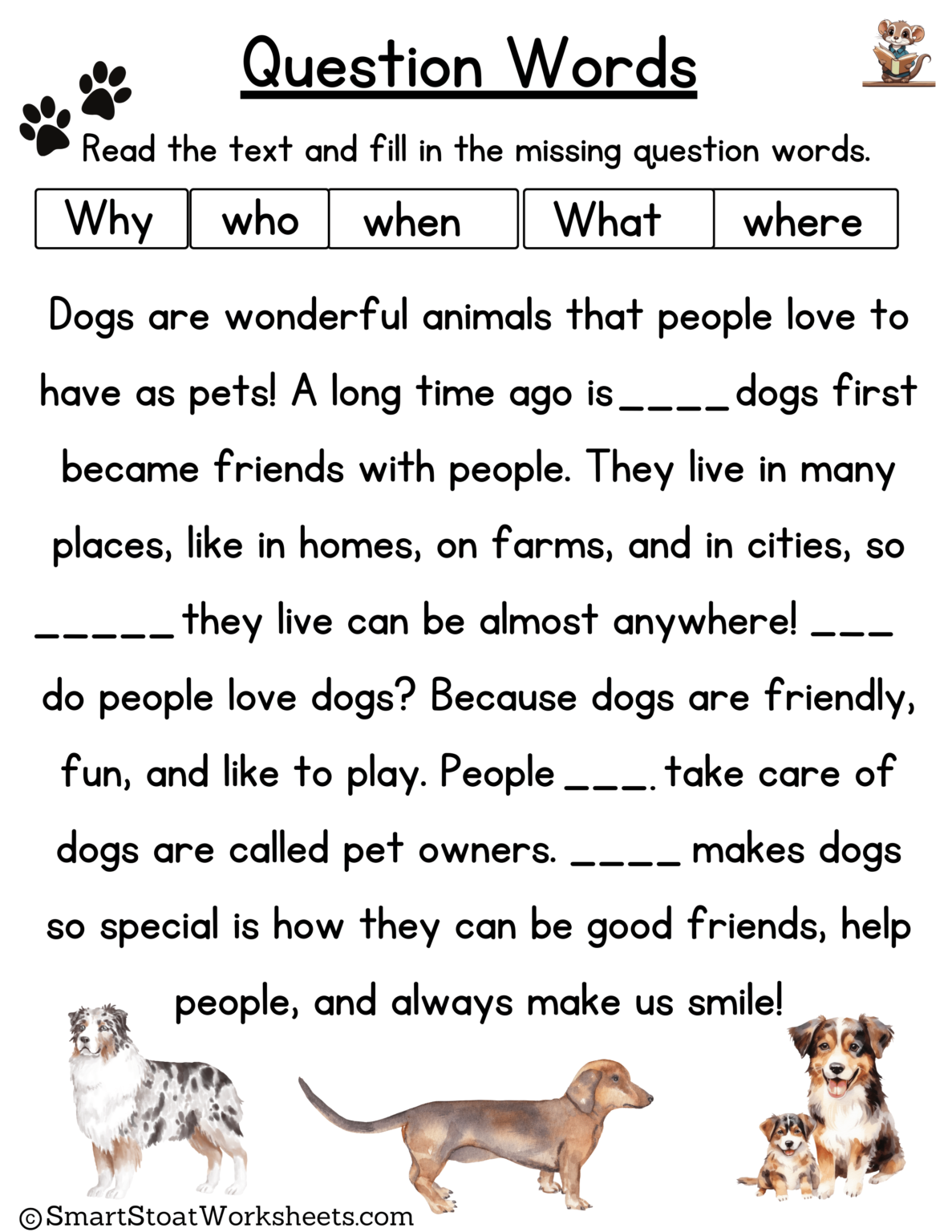 Wh Questions Worksheets - Who What When Where