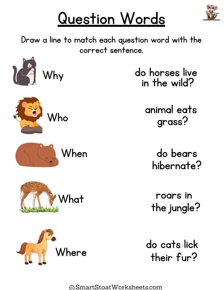 Wh Questions Worksheets - Who What When Where