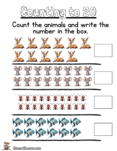 Counting Worksheets 1 20 for 1st Grade | Free PDF Download