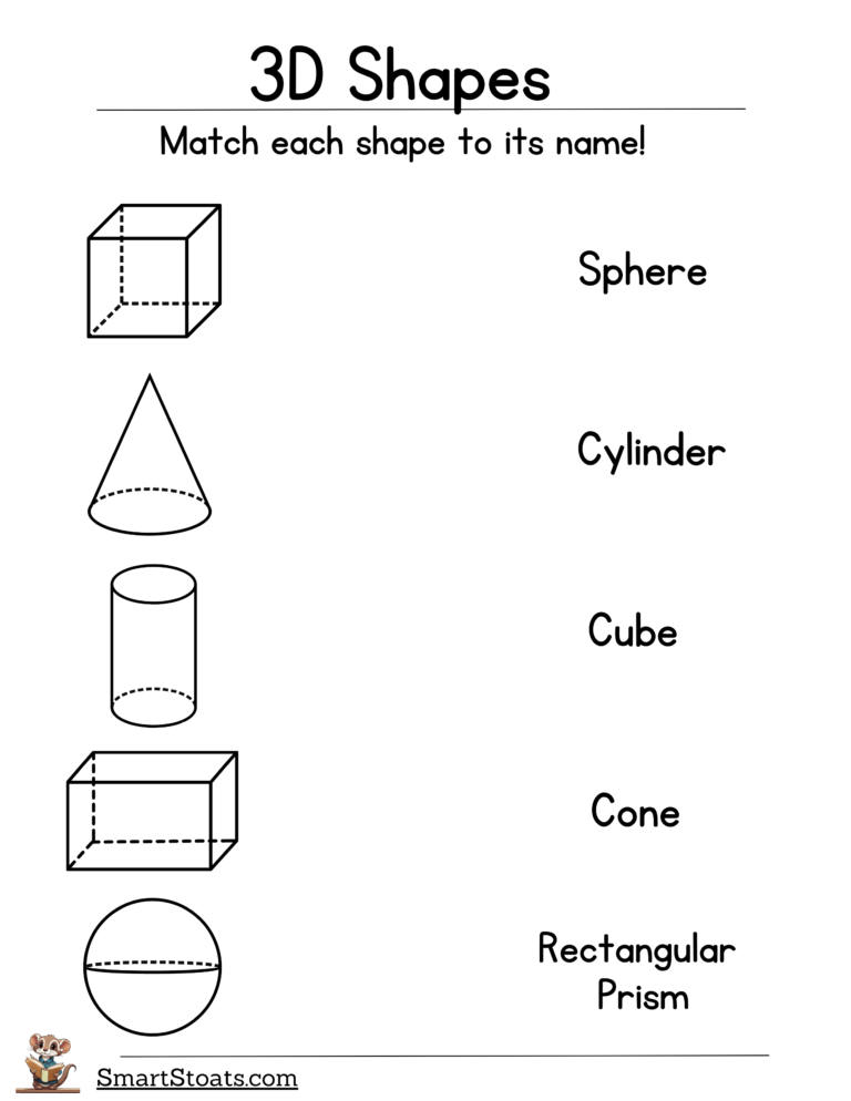 3D Dimensional Shapes Worksheets for 1st Grade | Free Download