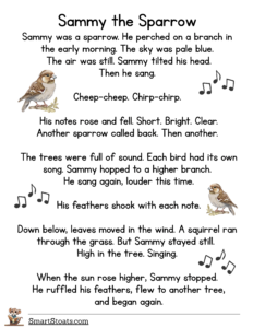 Short Stories for First Graders - 1st Grade Reading Worksheets